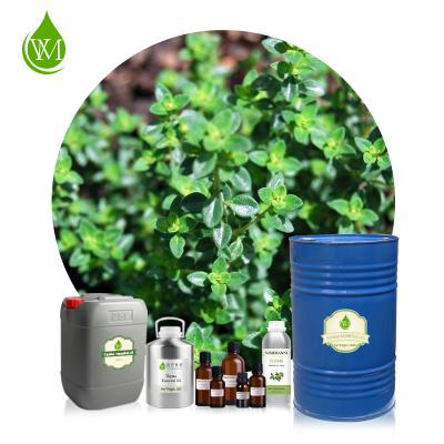 China Pure Natural Fresh 100% Thyme Essential Oil Respiratory Diseases Treatment for sale