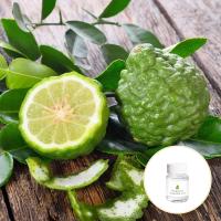 China Orange Bergamot Essential Oil For Skin Care Body Massage for sale