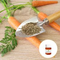 China 100% Organic Carrot Seed Essential Oil For Skin Lightening for sale