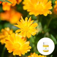 China 100% Pure Natural Organic Calendula Essential Oil Marigold Oil for sale