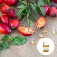 China Custom Organic Natural Cold Pressed Rose Hip Seed Oil For Skin Care Anti Wrinkles Moisturizing for sale