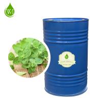 China Private Label Pure Organic Oregano Essential Oil Therapeutic Grade Aromatherapy Oil for sale