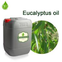 China 100% Natural Aromatherapy Eucalyptus Essential Oil For Hair / Skin for sale