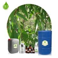 China 100% Natural Aromatherapy Eucalyptus Essential Oil For Hair / Skin for sale