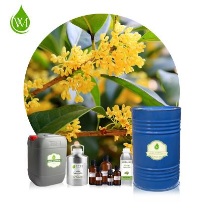 China Aromatherapy 100% Pure Laurel Leaf Essential Oil For Cosmetic Diffusers Massage Candle for sale
