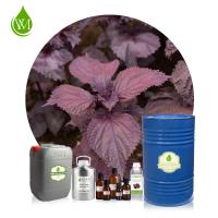 China Organic 100% Pure Natural volatile Perilla Leaf Essential Oil For Skin Care for sale