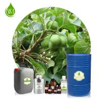 China Private Label 100% Pure Organic Cold Pressed Neem Oil For Plants for sale