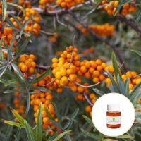 China Pure Seabuckthorn Fruit Essential Oil Sea Buckthorn Essential Oil Skin Lightening for sale