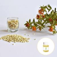 China 100% Natural Pure Cold Pressed Safflower Seed Oil Prevent cardiovascular for sale