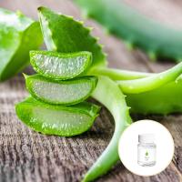 China Cold Pressed Organic Aloe Vera Essential Oil For Face Skin Body And Burns for sale