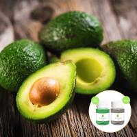 China Organic Extra Virgin Avocado Essential Oil Extracted From Dried Fruits for sale