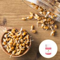 China Cold Pressed Carrier Pure Wheat Germ Oil For Synthetic Handmade Soap for sale