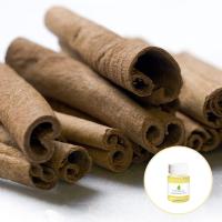 China OEM ODM Pure Cinnamon Essential Oil Natural Aphrodisiac Anti Aging for sale