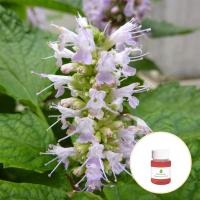 China Bulk 100% Pure Patchouli Essential Oil Tightens Skin Promotes Wound Scarring for sale