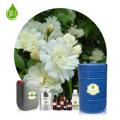China Bulk Pure Banksia Essential Oil Body Skin Care Relax Smooth Muscle for sale