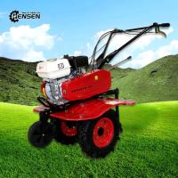 China 7HP Belt Type Mini Power Tiller 800-1000mm Tilling Width Gas Cultivator for Agriculture for sale