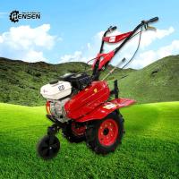 China 7HP Belt Type Mini Power Tiller 800-1000mm Tilling Width Gas Cultivator for Agriculture for sale