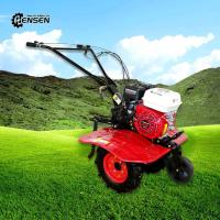China 7HP Belt Type Mini Power Tiller 800-1000mm Tilling Width Gas Cultivator for Agriculture for sale