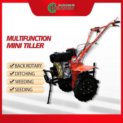 China 7HP Gasoline Mini Power Tiller 100-300mm Tilling Depth Hand Push Rotary Tiller for sale
