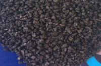 China Black Calcined Petroleum Coke Fuel 1-3mm/1-5mm Multi Functional for sale
