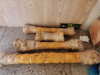 China 60021293 Shaft, Drive M130-A5B1P6-80  for SANY mobile crane for sale