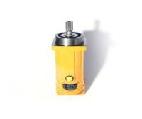 China 11550766  Motor  Assembly  Piston  SM6F28-W00-NDD3T11M6  for  SANY  mobile crane for sale