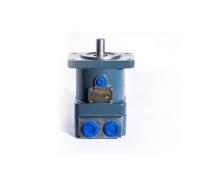 China A220501000070 Mobile Crane Spare Parts Plunger Motor LY-M1F40PL for sale