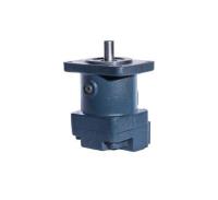China A220501000070 Mobile Crane Spare Parts Plunger Motor LY-M1F40PL for sale