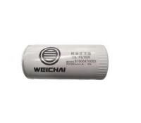 China A222100000502 Oil Filter JLX-162 61000070005 1000424655A for sale