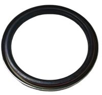 China 60209756 Oil Seal A2406050 MFC145*175*17 for SANY Mobile Crane for sale