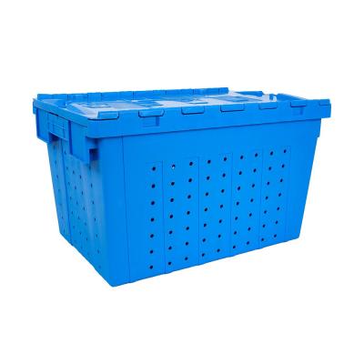 China Supermarket Plastic Tote Box Acceptable OEM ODM Transport Turnover Crate with Mesh for sale