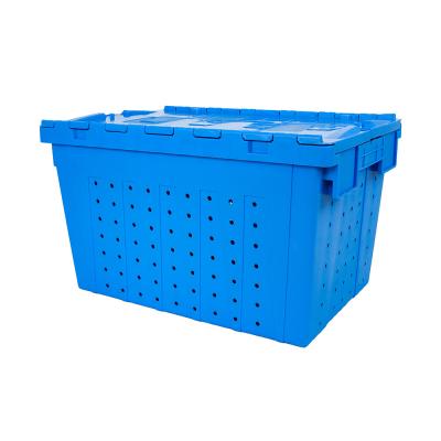China Customized Color Solid Box High Turnover Plastic Container for Agricultural Produce for sale