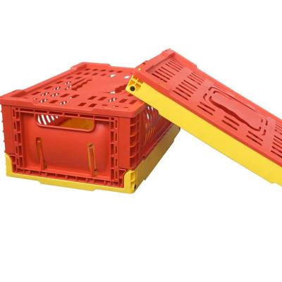 China PP Warehouse Collapsible Crate for Easy Storage and Transportation Various Colors for sale