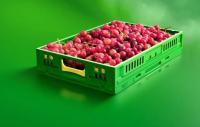 China Green Heavy Duty Transportation Plastic Crate for Warehouse and Supermarket Storage for sale
