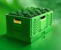 China Green Heavy Duty Transportation Plastic Crate for Warehouse and Supermarket Storage for sale