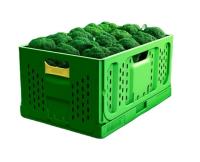 China Customized Logo Green Collapsible Plastic Mesh Storage Crate for Vegetables and Fruits for sale