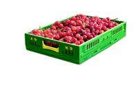 China Customized Logo Green Collapsible Plastic Mesh Storage Crate for Vegetables and Fruits for sale