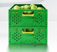 China Customized Logo Green Collapsible Plastic Mesh Storage Crate for Vegetables and Fruits for sale