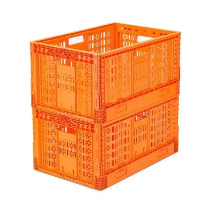 China Collapsible Vented Storage Crate 600x400x300mm PP for Transportation and Supermarket for sale