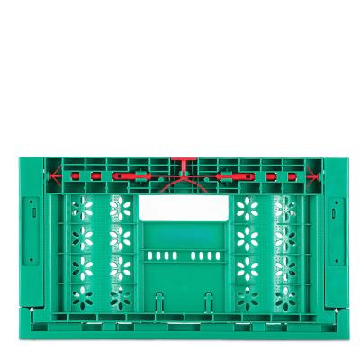 China Collapsible Mesh Crate for Vegetable Storage in Kitchen Plastic Material and Design for sale