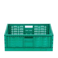 China 600x400x225mm PP Crate The Perfect Solution for Storing Tomatoes Vegetables and Fruits for sale