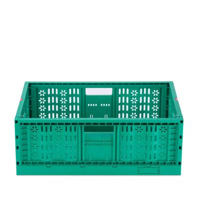 China 600x400x225mm PP Crate The Perfect Solution for Storing Tomatoes Vegetables and Fruits for sale