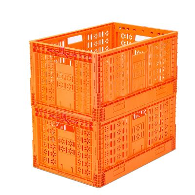 China PP Transfer Vented Mesh Collapsible Plastic Vegetable Box for Easy Logistic Handling for sale