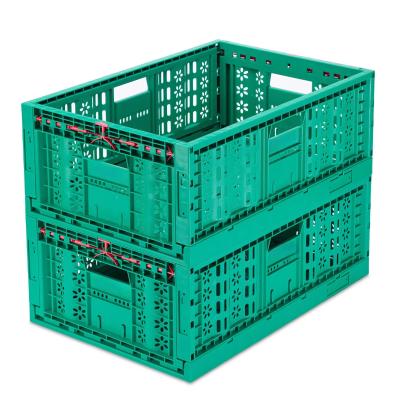 China Customized Logo Collapsible Plastic Basket for Storing and Transporting Vegetables for sale