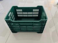 China ECO Friendly Style Plastic Crates for Vegetable and Fruit Storage PP Mesh Construction for sale