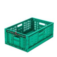China PP Stackable Foldable Box Vegetable Plastic Crate in Durable Green for Food Industry for sale