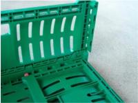 China Foldable 400*300*38mm Reusable Virgin PP Storage Collapsible Plastic Vegetable Crate for sale