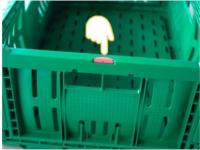 China Foldable 400*300*38mm Reusable Virgin PP Storage Collapsible Plastic Vegetable Crate for sale