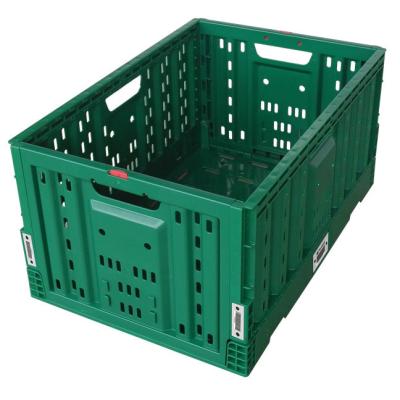 China Green 600x400x300mm Folding PP Mesh Plastic Crate for Storing Fruits and Vegetables for sale