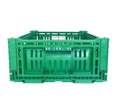 China 600x400x180mm Eco-Friendly Folding Container for Storage and Transportation of Fruits for sale
